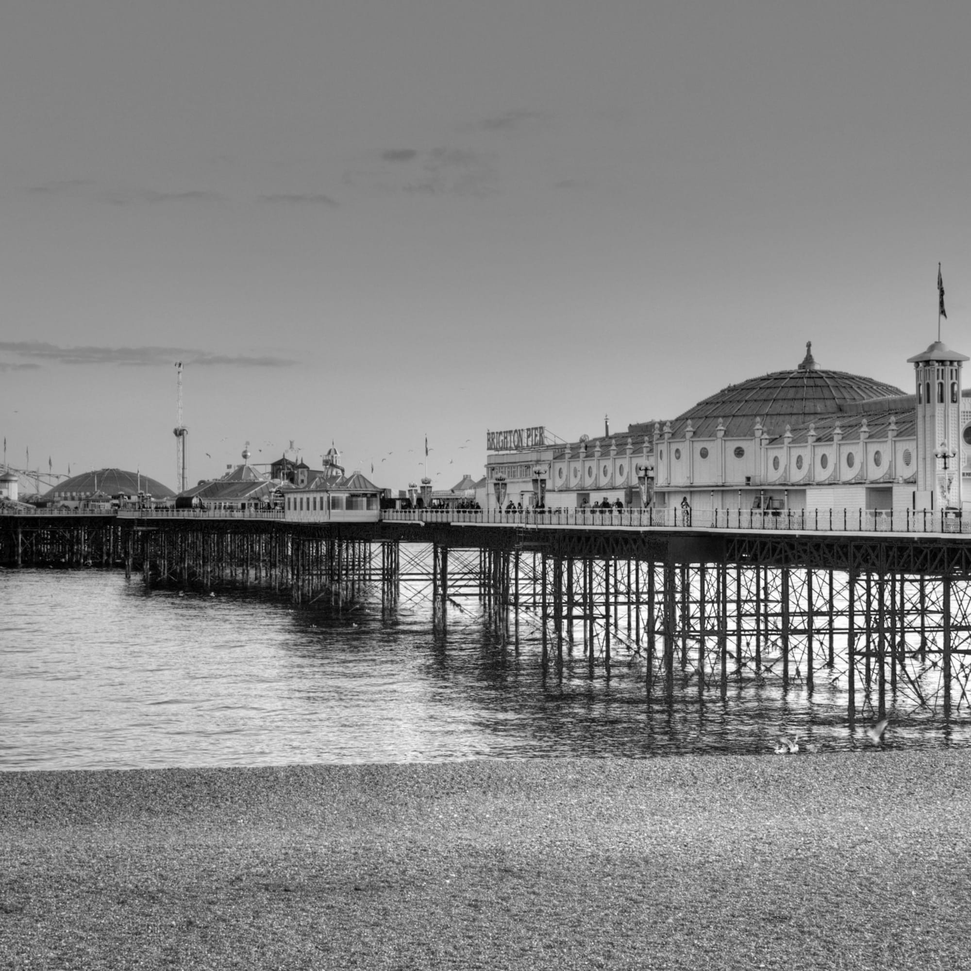 The BEST Brighton Hen Do Ideas for 2024 - UK's LARGEST Hen Experts